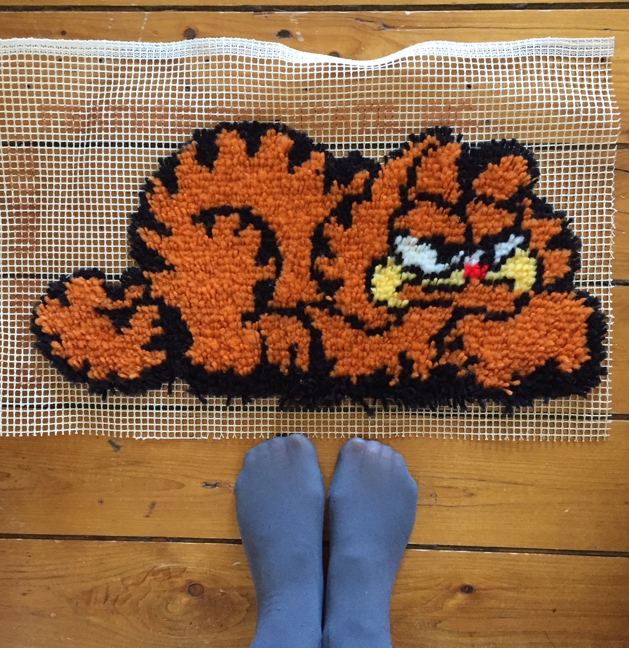 Garfield is Getting Nervous | Eve O. Schaub